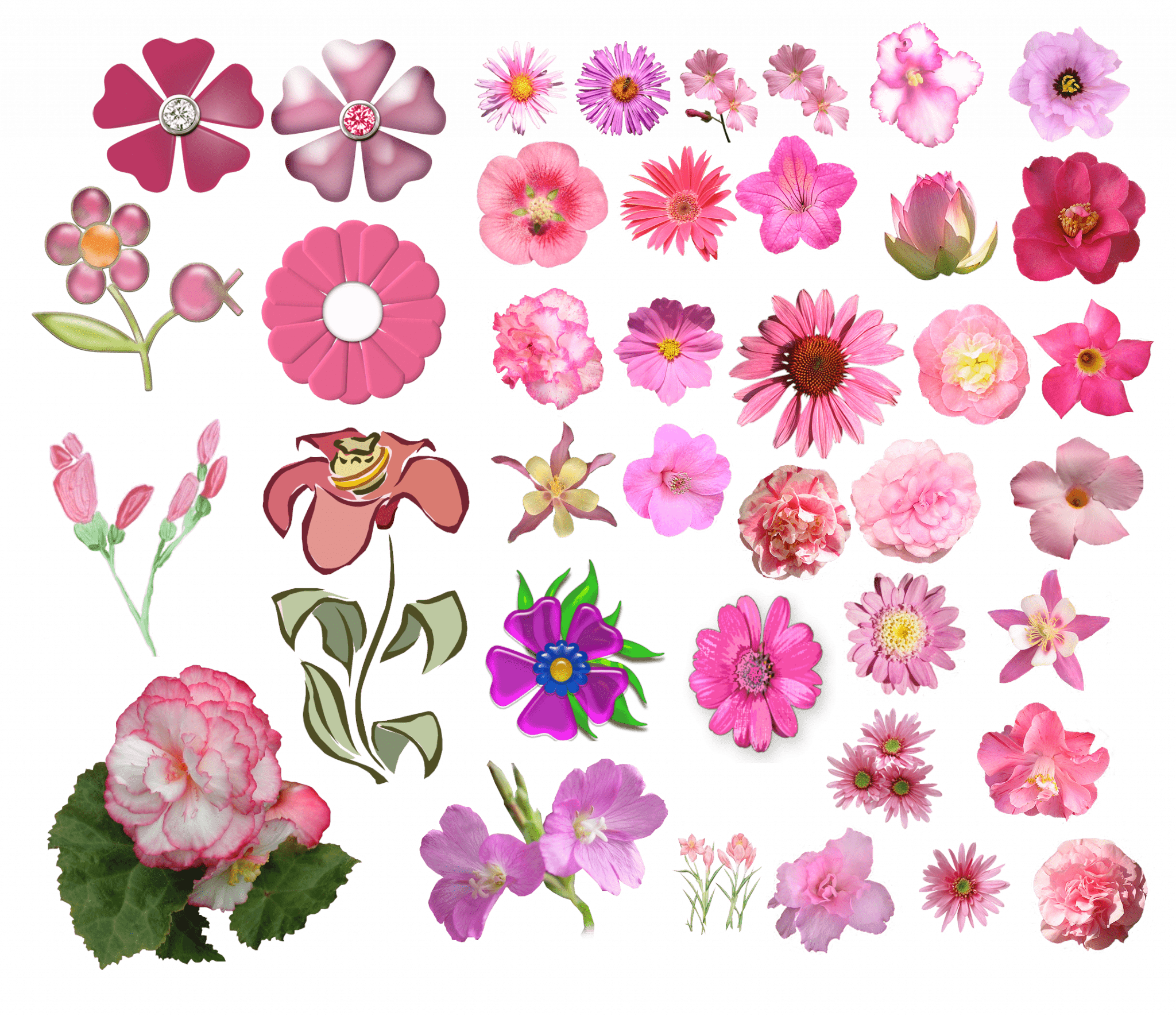 Plantillas de flores coloreadas para recortar en papel 170 imágenes